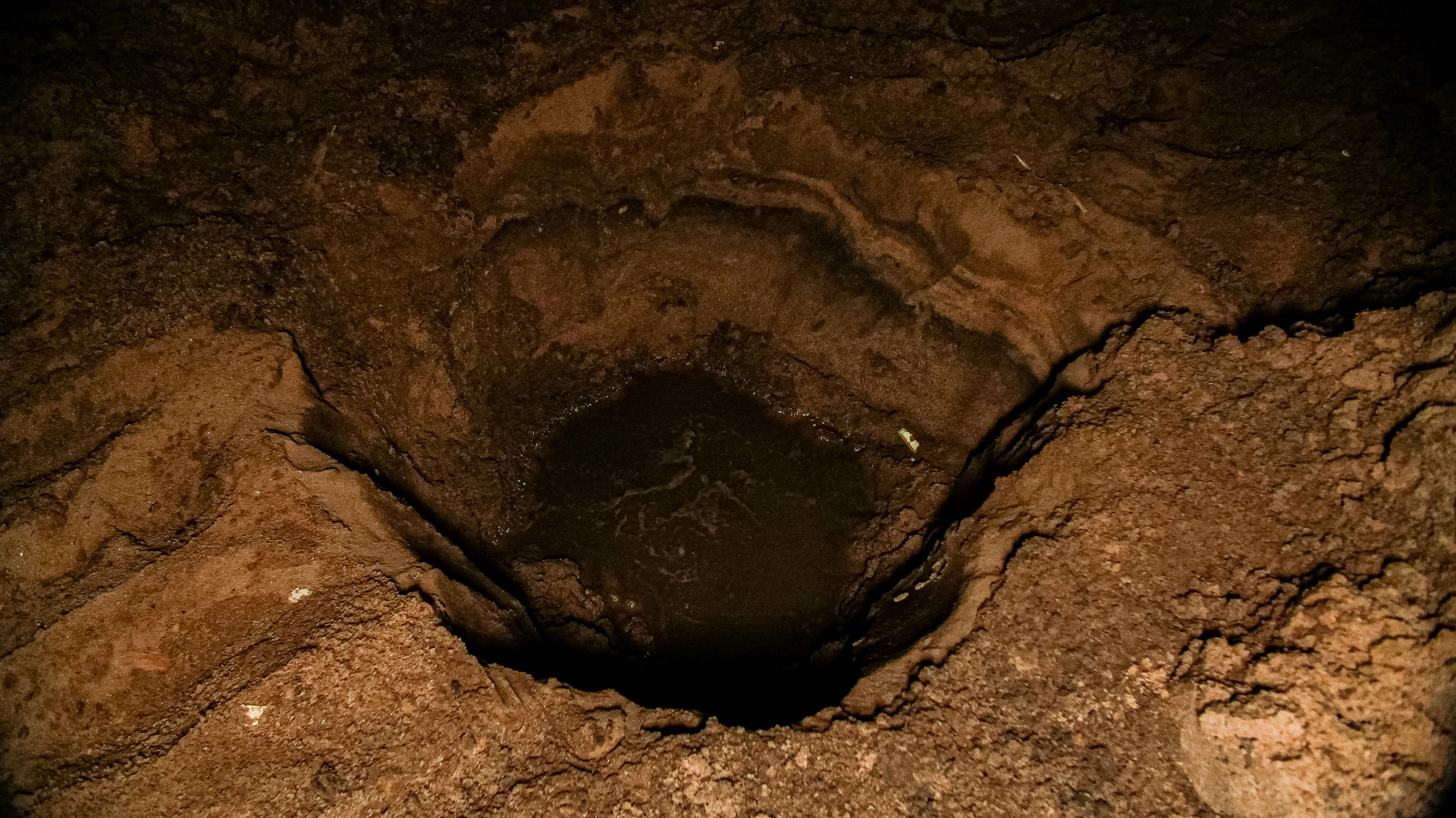 Sinkholes in Florida Explained - Alpha Foundations